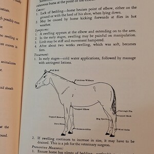 Vintage Book “the Horseman’s Notebook” by Mary Rose First Edition– 1972 ...
