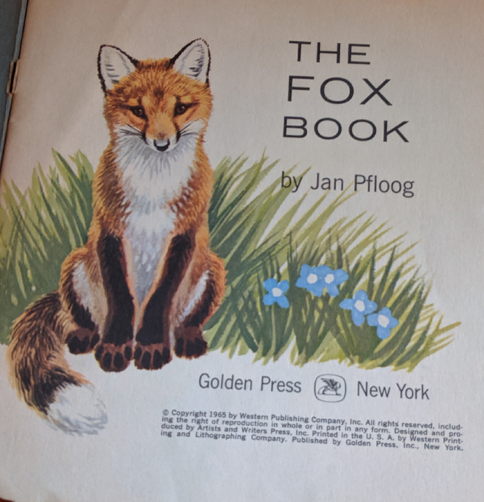 Vintage The Fox Book by Golden Press 1965