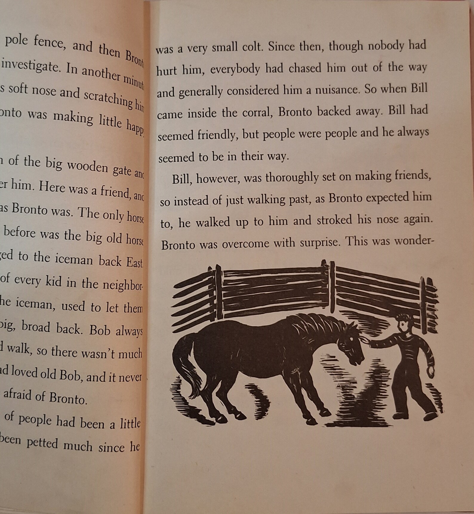 Vintage Book Bronto by Hetty Burlingame Beatty First Edition 1952 - Etsy