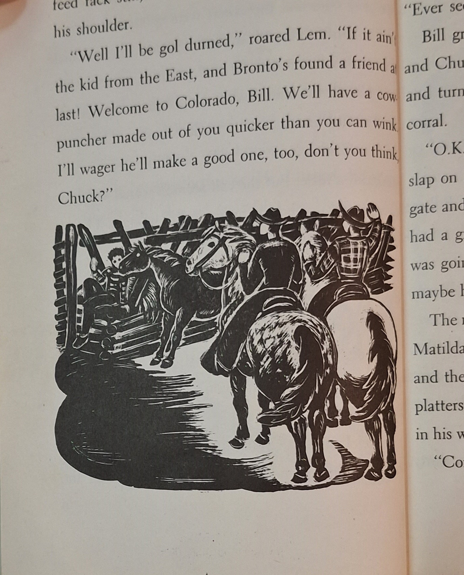 Vintage Book Bronto by Hetty Burlingame Beatty First Edition 1952 - Etsy