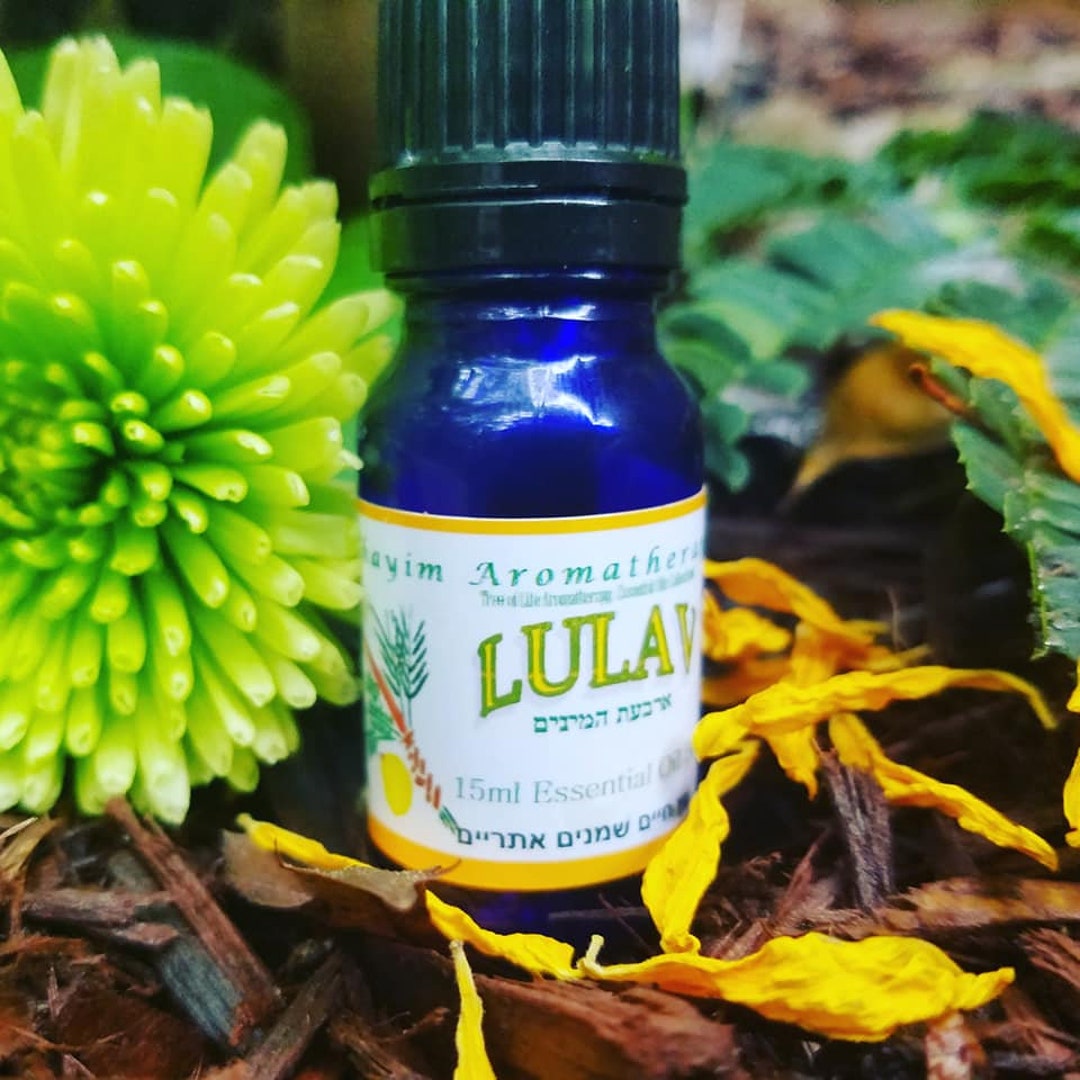 Exclusive LULAV ®™ Known as Arba’at Ha-minim®™ 4 Species 10ml Sukkot ...