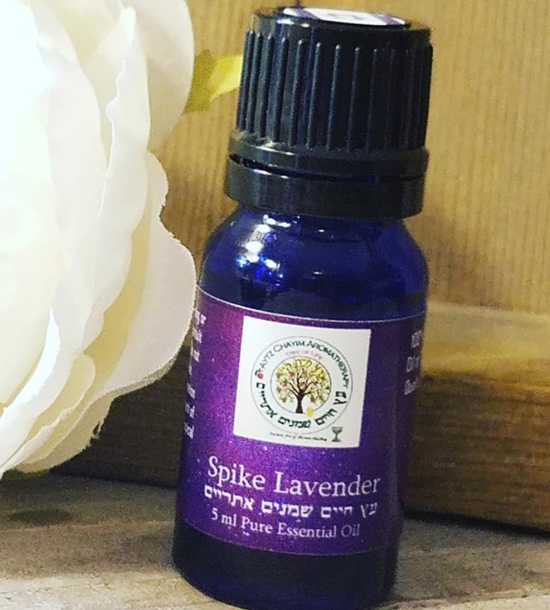 Spike Lavender 10ml לבנדר אזוביון רפואי ISRAEL - Etsy