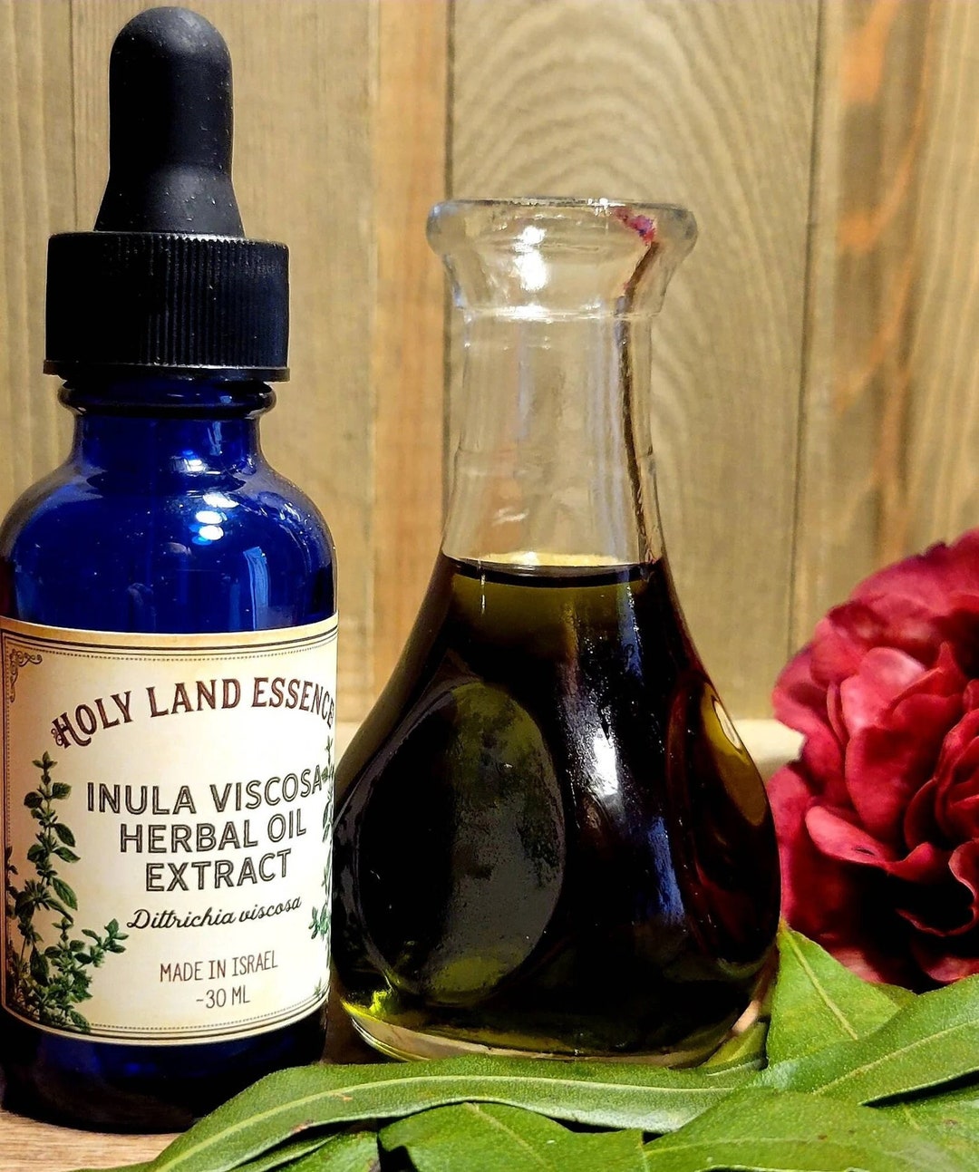 Oil of Inula Viscosa 30ml Known as Job's Healing Oil Rara Ayub from ...