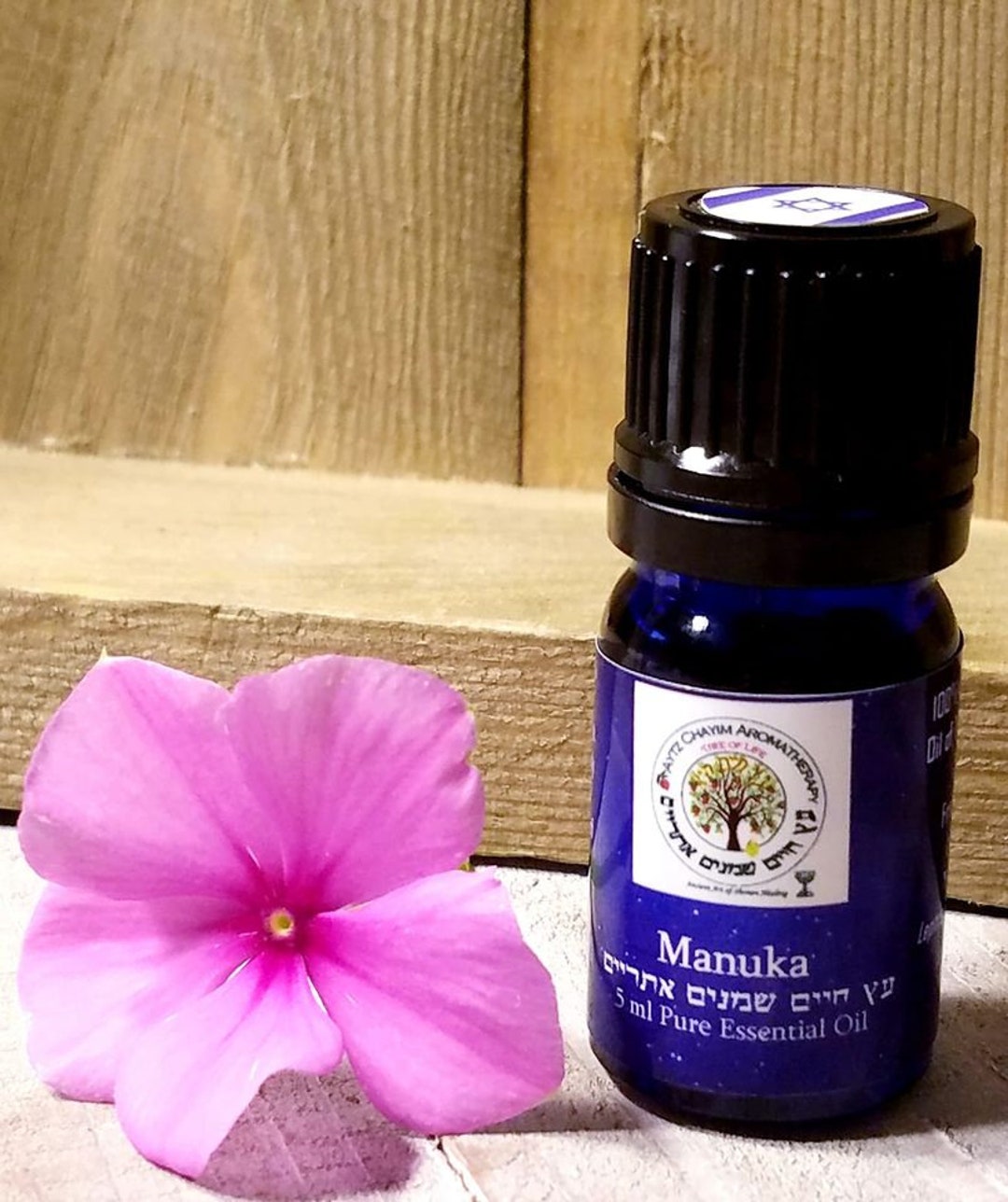 Manuka Leaf Essential Oil 5ml Leptospermum Scoparium - Etsy