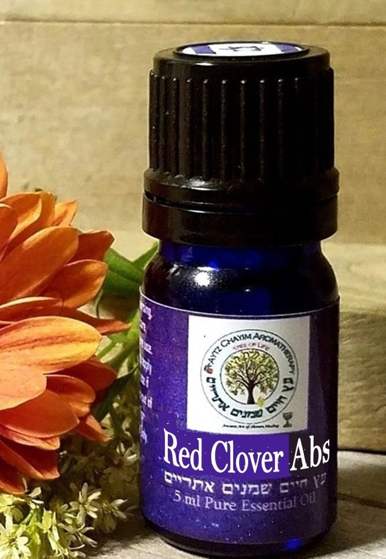 Sweet Red Clover Absolute Essential Oil 5ml RARE Blended With - Etsy