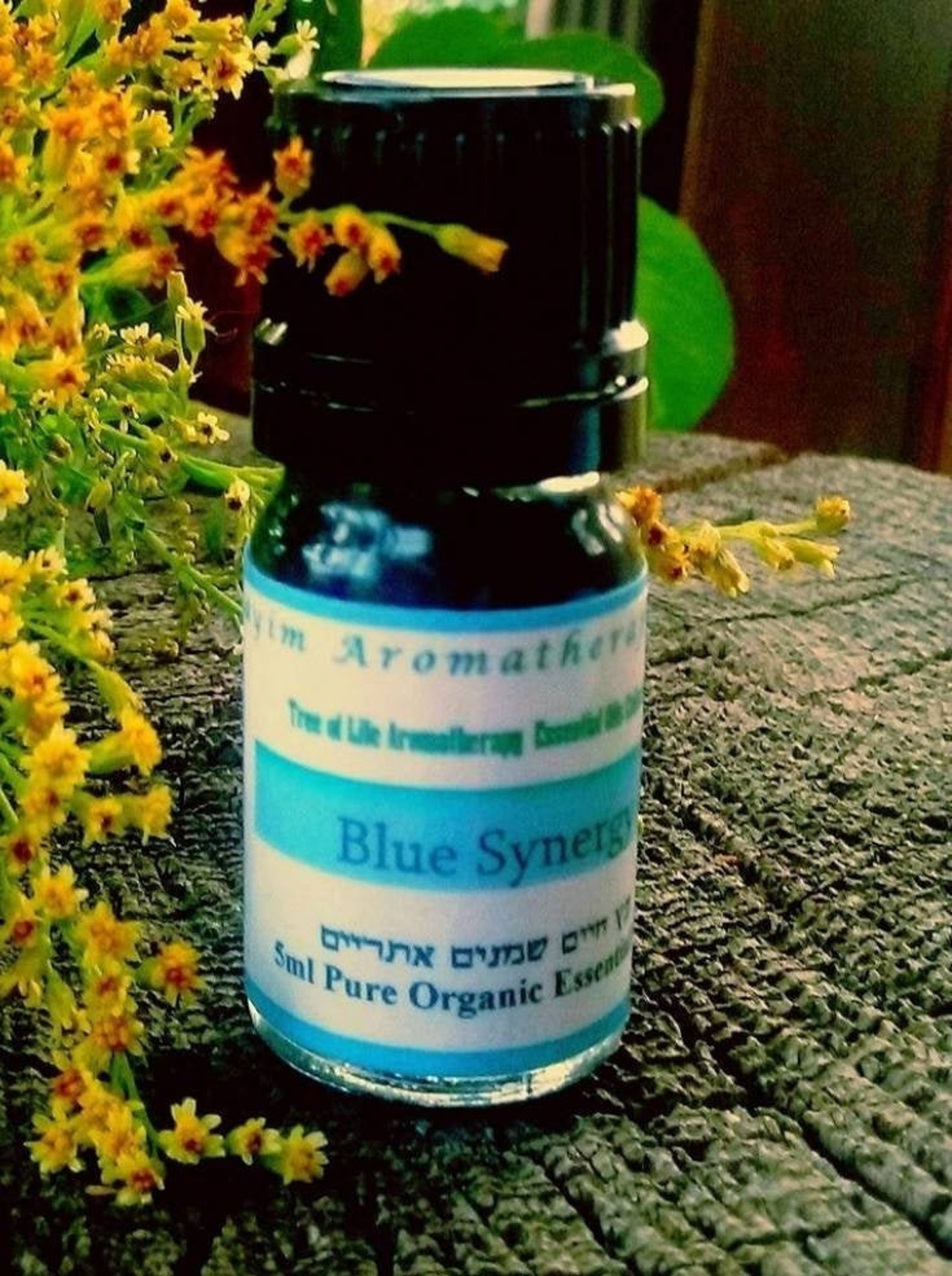 Blue Synergy Essential Oil Blend Exclusive Proprietary Formula - Etsy