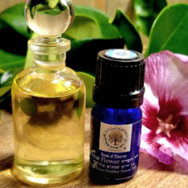 Rose of Sharon - Etsy