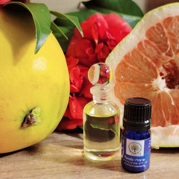 Pomelo - Etsy