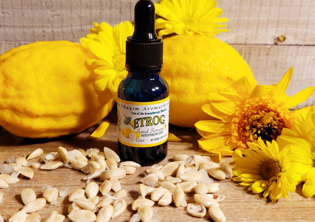 Etrog Citron© esrog Seed Oil 15ml Carrier Oil From Holy Land of Israel ...