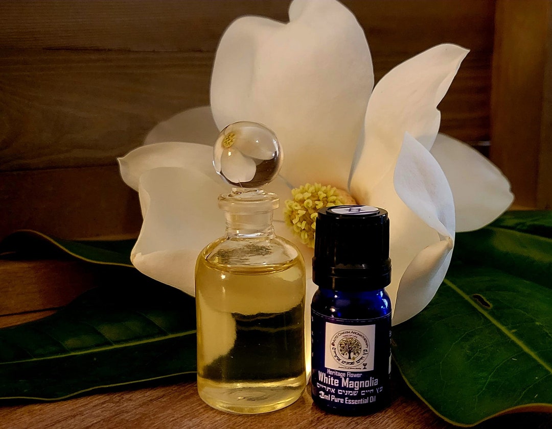 True Southern Heirloom White Magnolia Flower High-quality Essential Oil ...