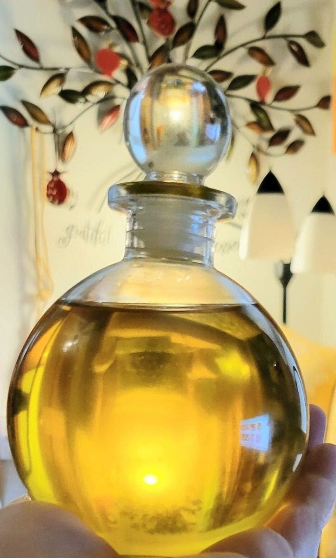 Etrog Citron© (esrog) Seed Oil 15ml Carrier Oil From Holy Land of ...