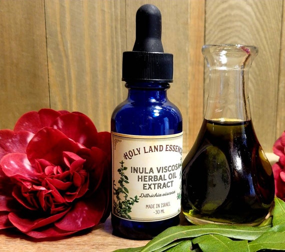 Oil of Inula Viscosa 30ml Known as Job's Healing Oil Rara - Etsy España