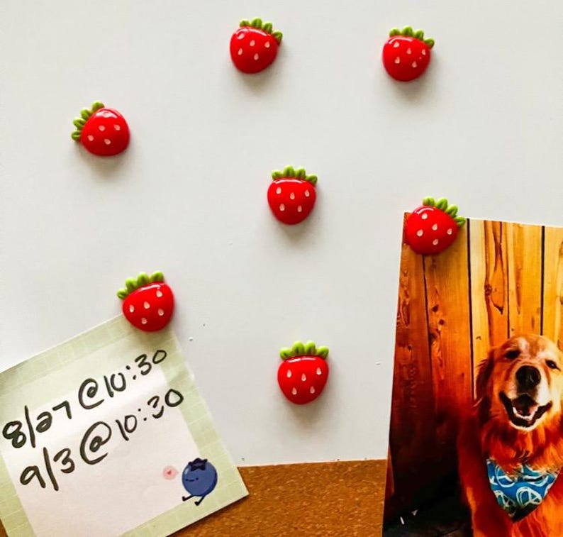 Mini Magnet Sets - Etsy