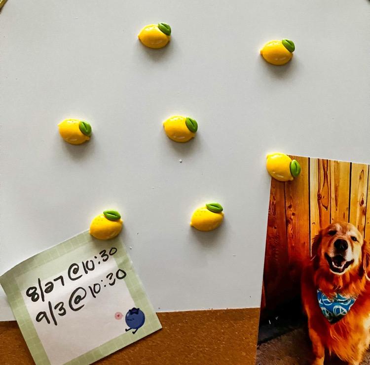 Mini Magnet Sets - Etsy