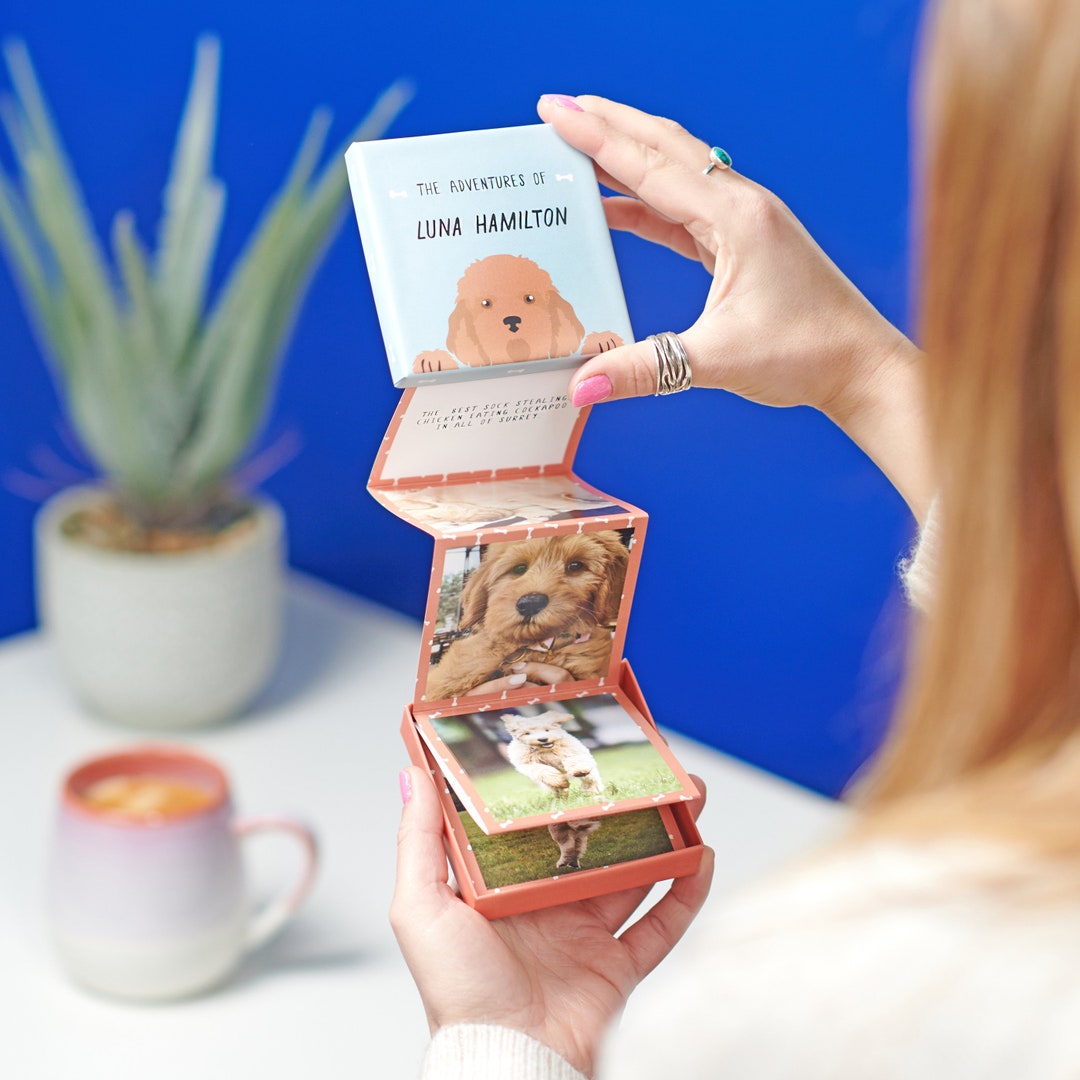 Personalised Dog Adventures Pop Out Photo Box - Etsy