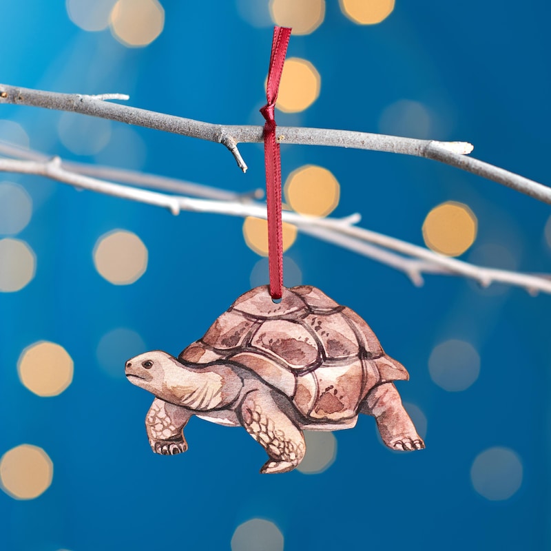 Tortoise Gifts - 60+ Gift Ideas for 2025