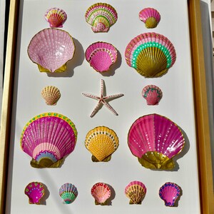Sparrowsandhens Framed Shell Wall Art. Hand Painted Shells. 18" X 20 ...