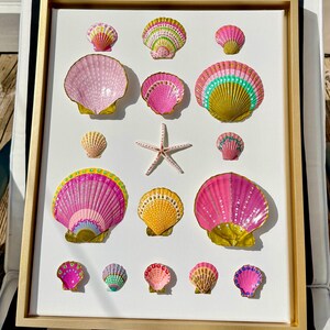 Sparrowsandhens Framed Shell Wall Art. Hand Painted Shells. 18" X 20 ...