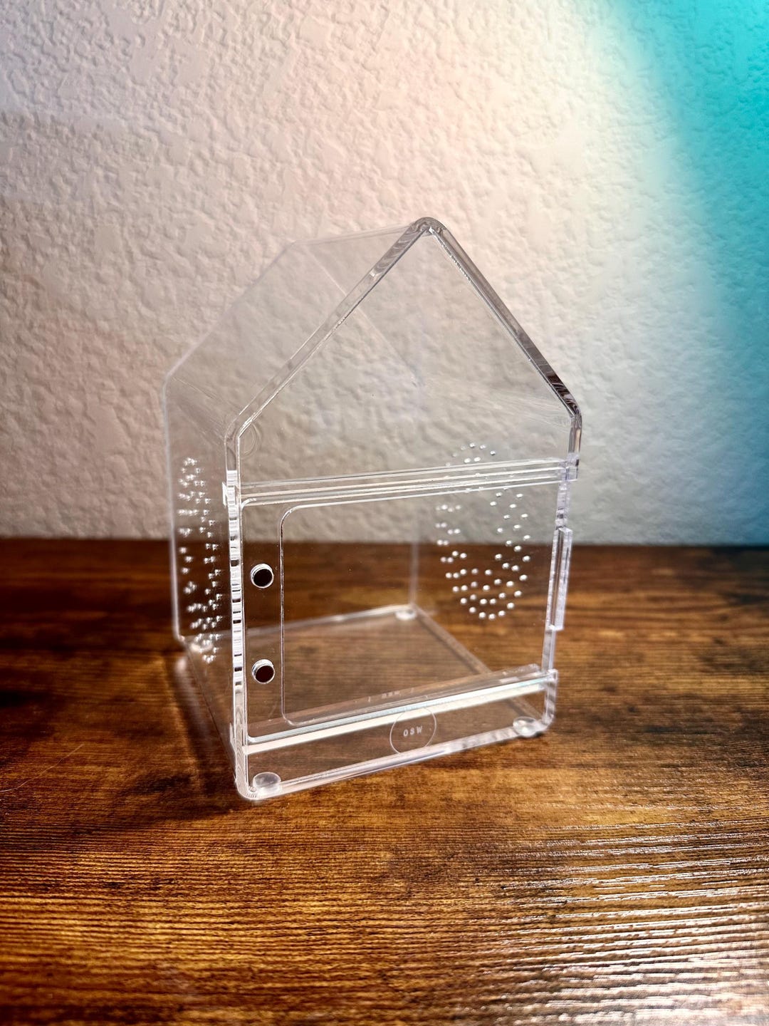 Spider Enclosure With Sliding, Magnetic Door 4x4x6 - Etsy