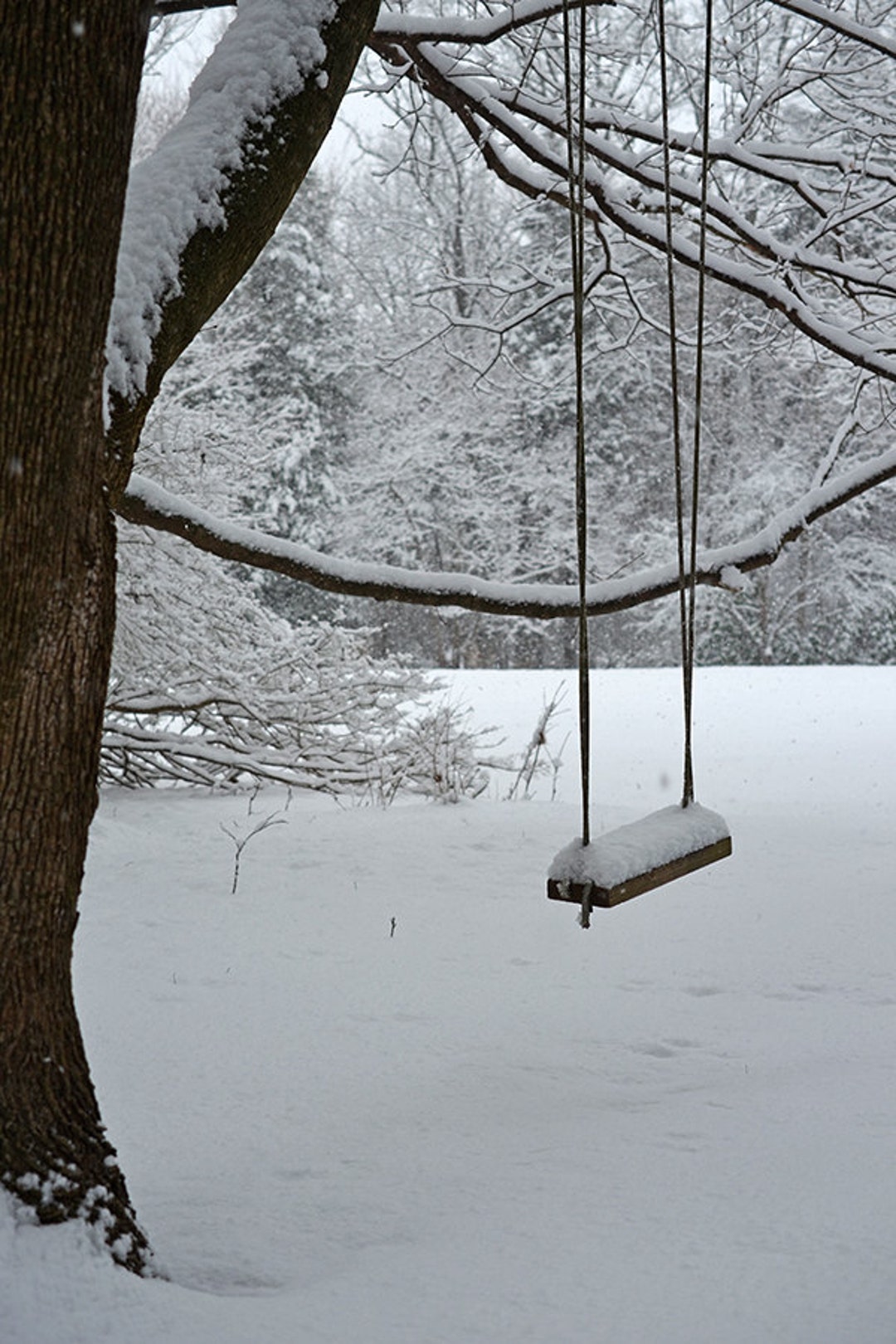 Lonely Winter Swing, Snow Photography, Snow Print, Snow Art, Snow Decor ...