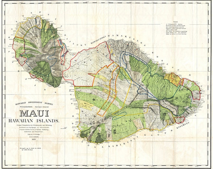 Hawaii - Island of Maui - Topography - Etsy