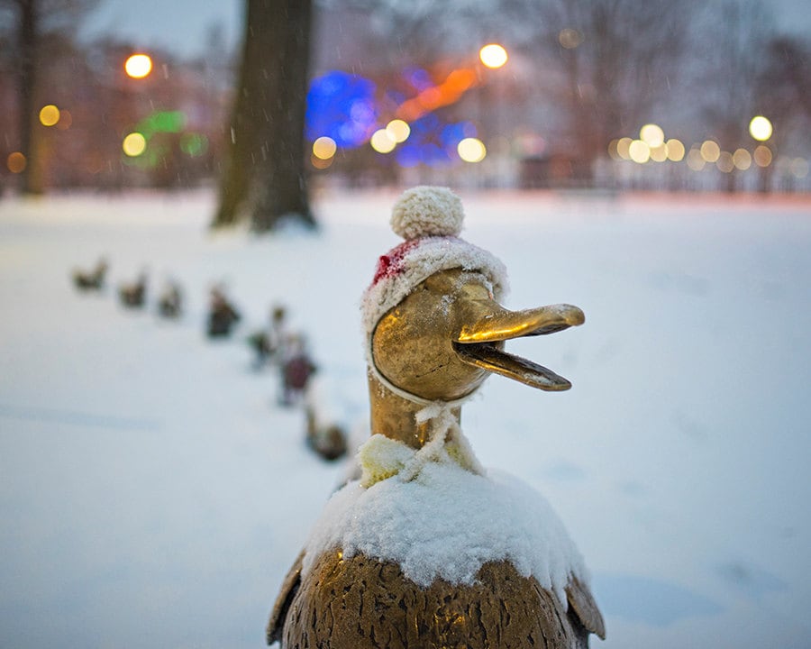 Make Way for Ducklings, Boston Public Garden, Winter Hat, Duck Statues ...