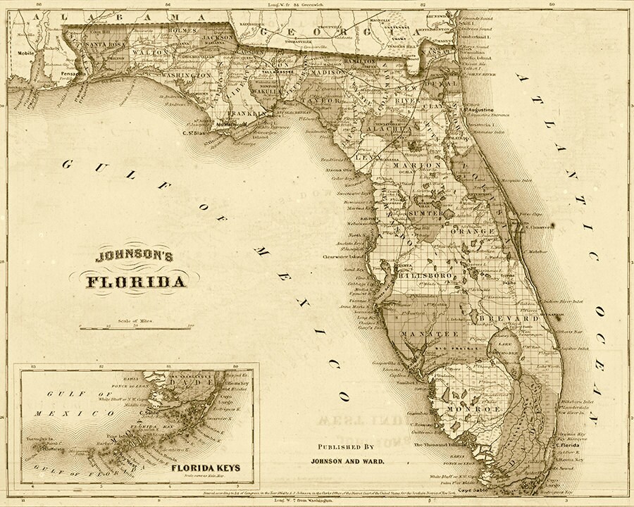 19th Century Map of Florida Florida Map Print Reproduction - Etsy