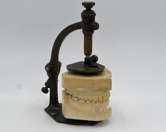 Antique Dental Articulator With Plaster Teeth Antique Dental - Etsy