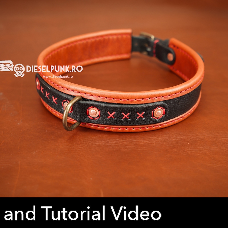Leather Dog Collar Pattern - Etsy
