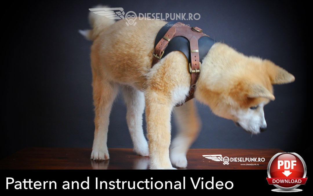 Dog Harness Sewing Pattern: Leather Style (PDF With Video Guide) - Etsy