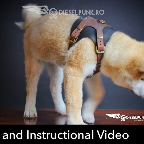 Pup Harness Leather - Etsy UK