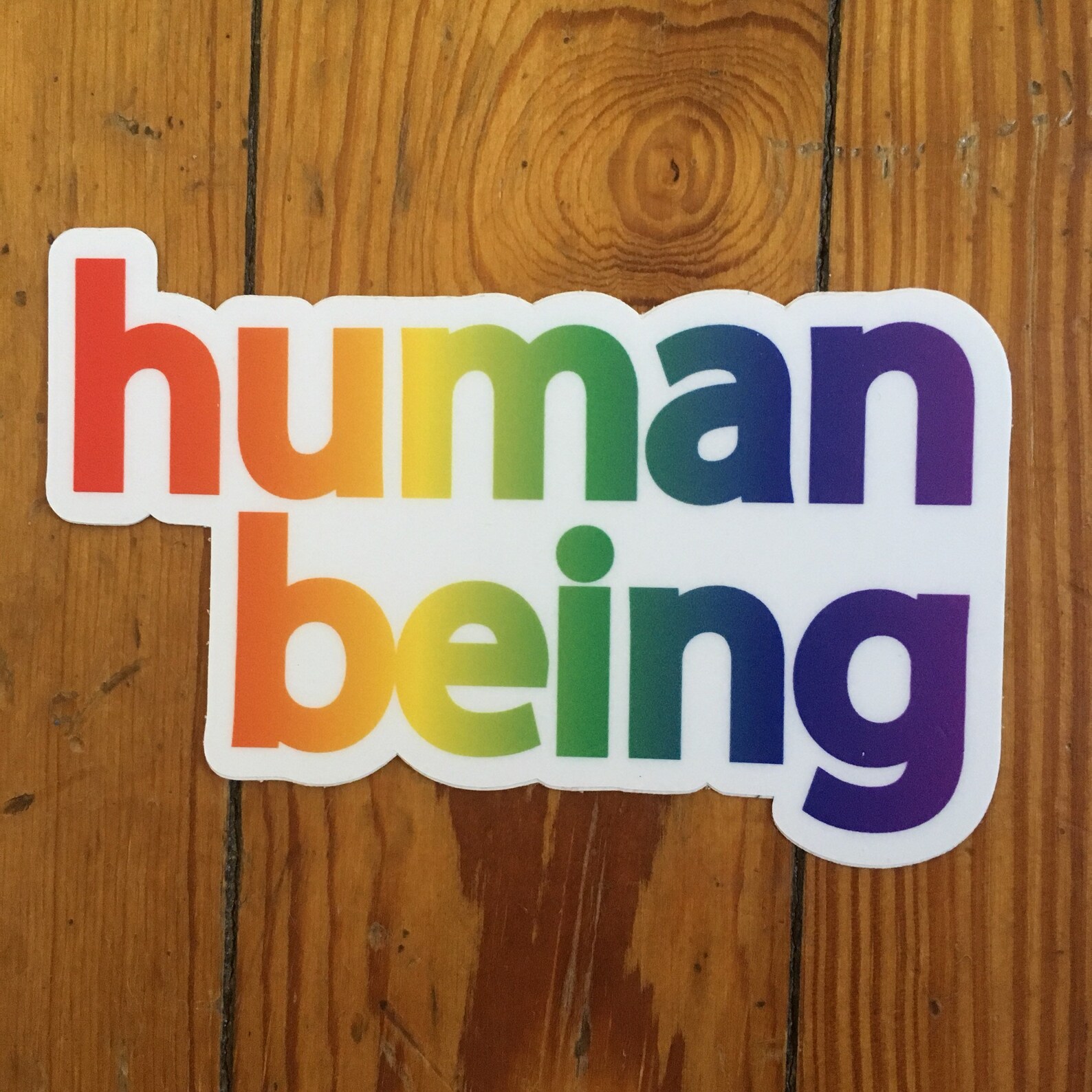 Human Being Pride Sticker Lgbtq Sticker Lgbt Sticker Ace | Etsy