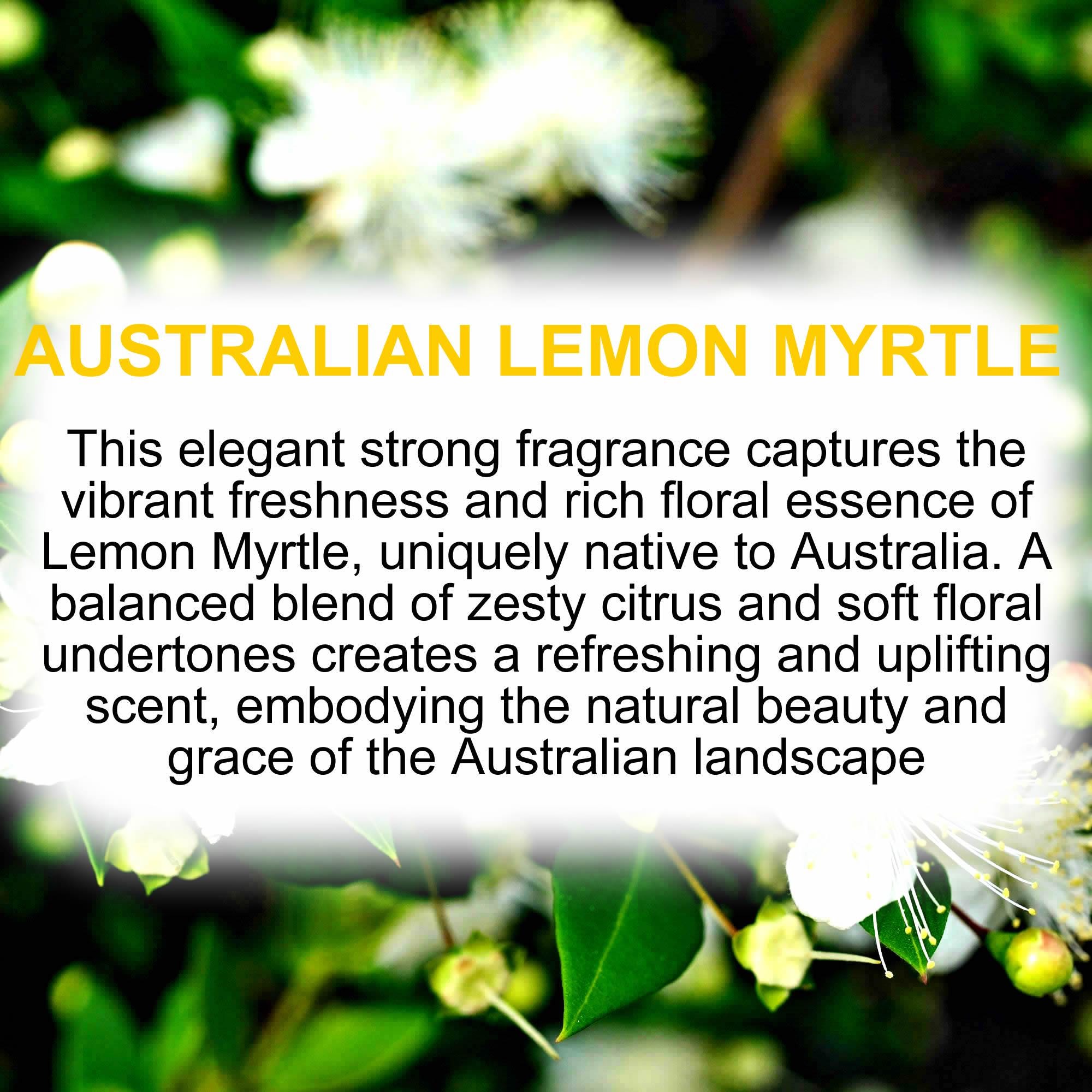 Australian Lemon Myrtle Scented Pillar Candle Eco-friendly - Etsy