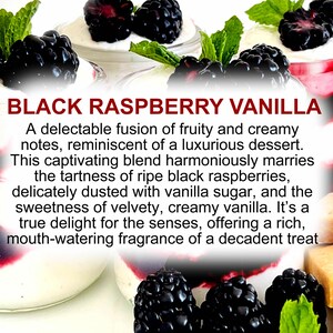 Black Raspberry Vanilla Fragrance Oil Refill for Diffusers Room Air Freshener - Etsy