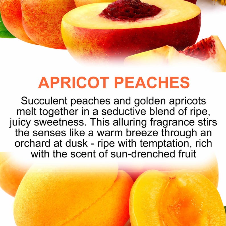 Apricot Peaches Roll on Fragrance Oil – Vegan, Alcohol-free, Cruelty ...