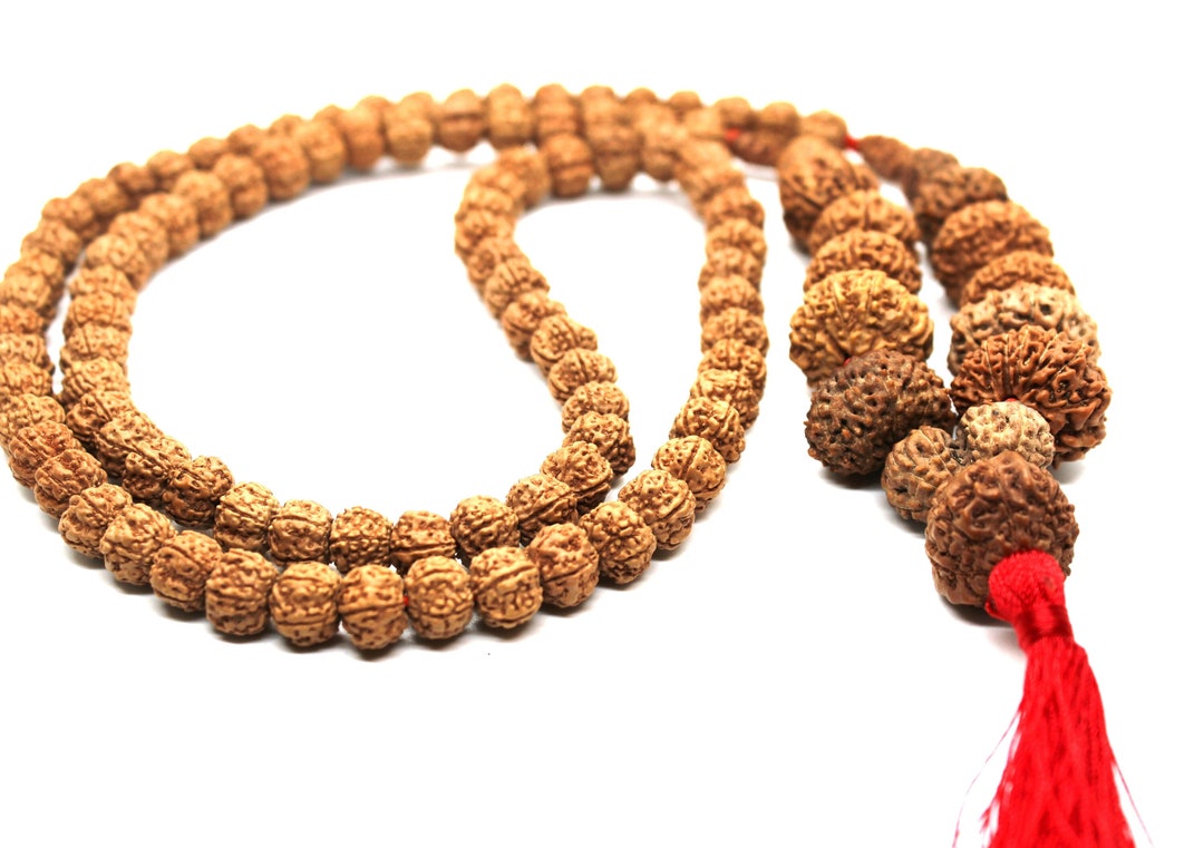 1 to 14 Mukhi Rudraksha, Collector Indonesian Beads Sidha Mala, Siddha ...