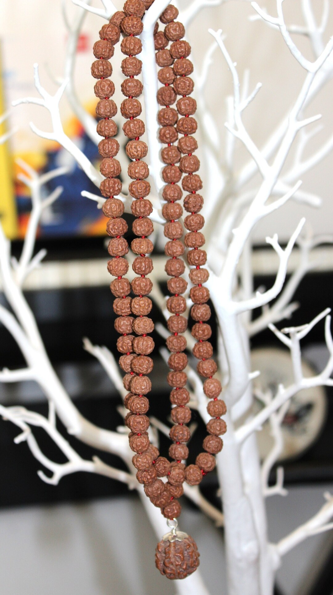 PATHARI Rudraksha Bead Mala Neckalce Collector 5 Mukhi Pendant ...