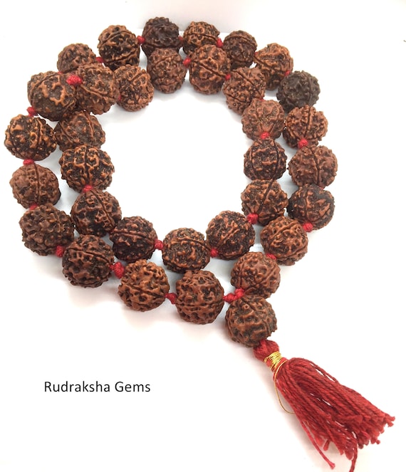 Rare Rudraksha Mala