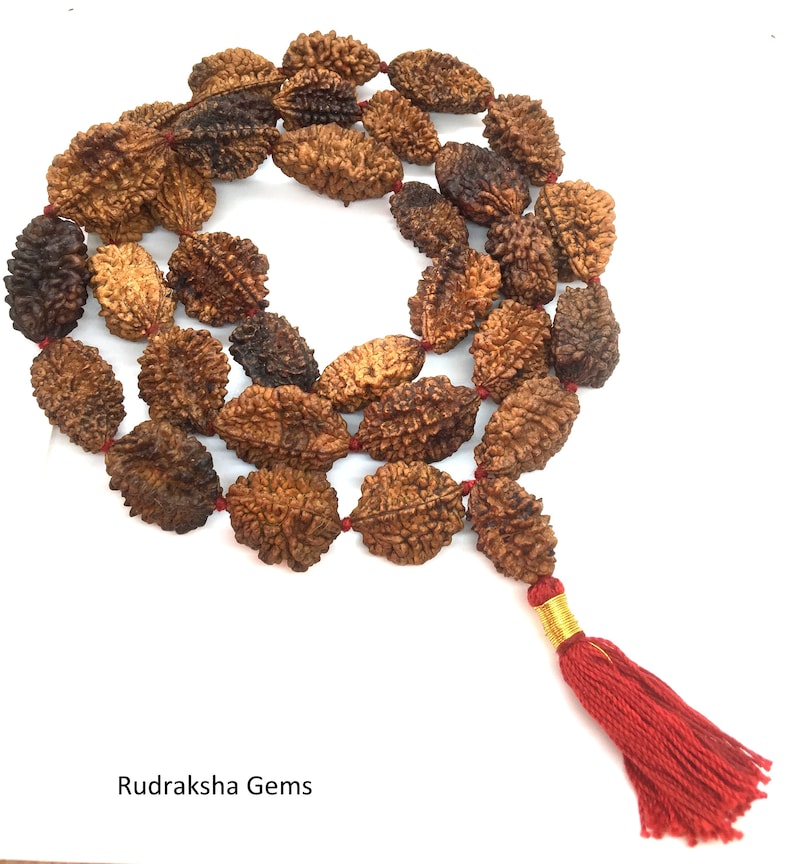 2 Mukhi Rudraksha Mala - Two Face Rudraksha Japa Mala - Rudraksha ...