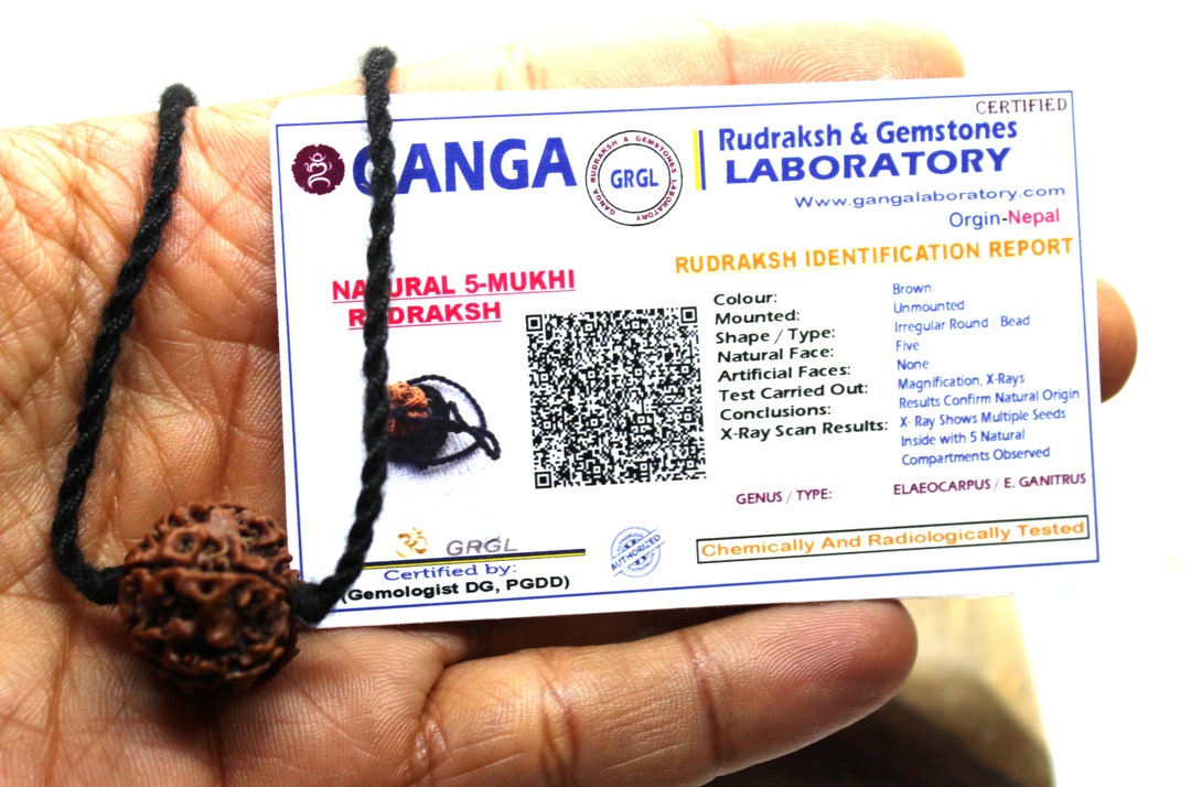 Certified Shiva Pendant With 5 Mukhi Rudraksha Mala Bead, Mahadeva Yoga ...