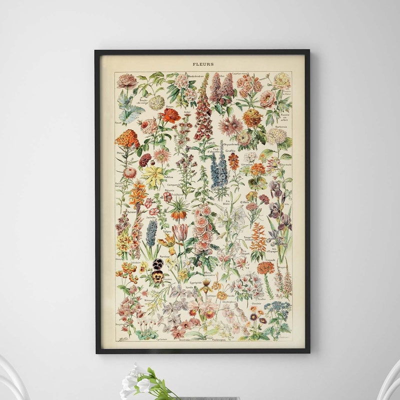 Botanical Poster - Etsy