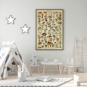 Mushroom Poster 24x36 or 16x24 Poster Vintage Nature Poster - Science ...