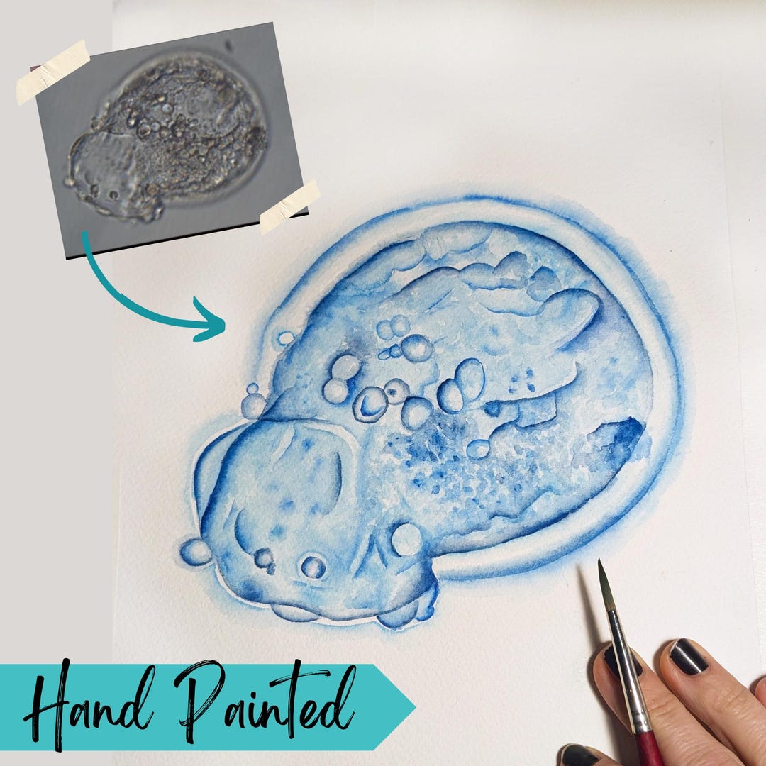 Hand Painted Custom Embryo Watercolor Painting - IVF Art Personalized ...