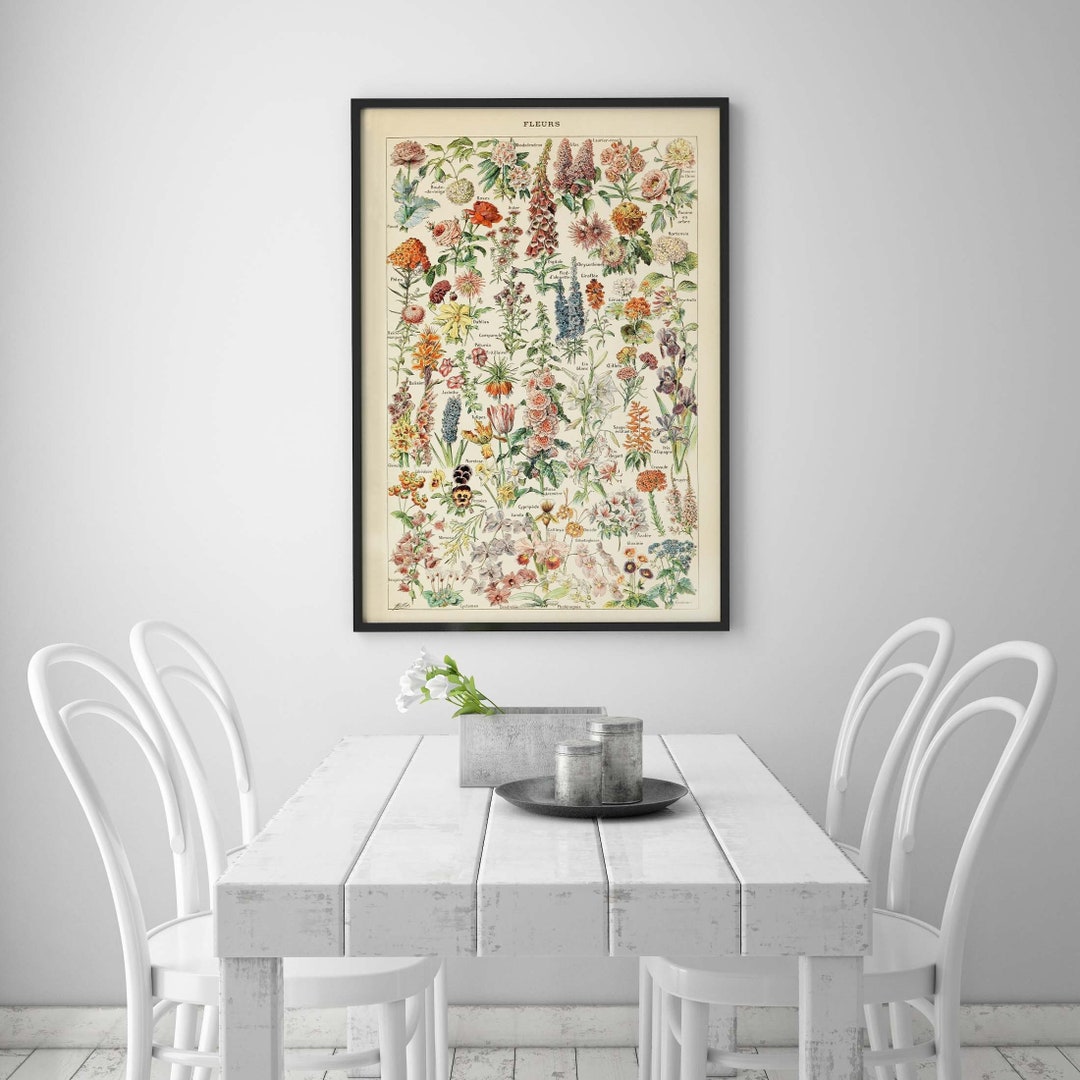 Vintage Flower Poster 24x36 or 16x24 Poster Nature Wall Art Large ...