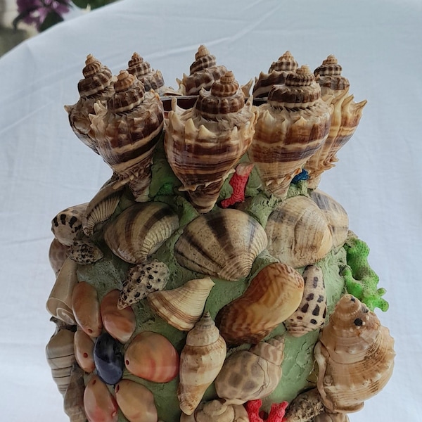 Seashell Vase - Etsy