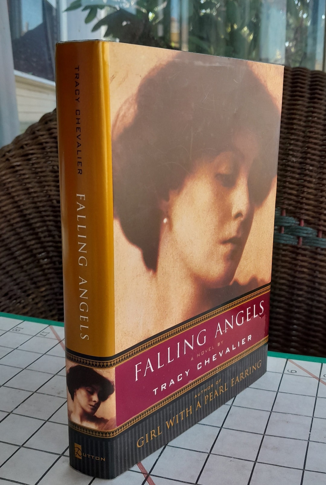 Falling Angels by Tracy Chevalier 1st Edition 1st Printing Hard Cover ...