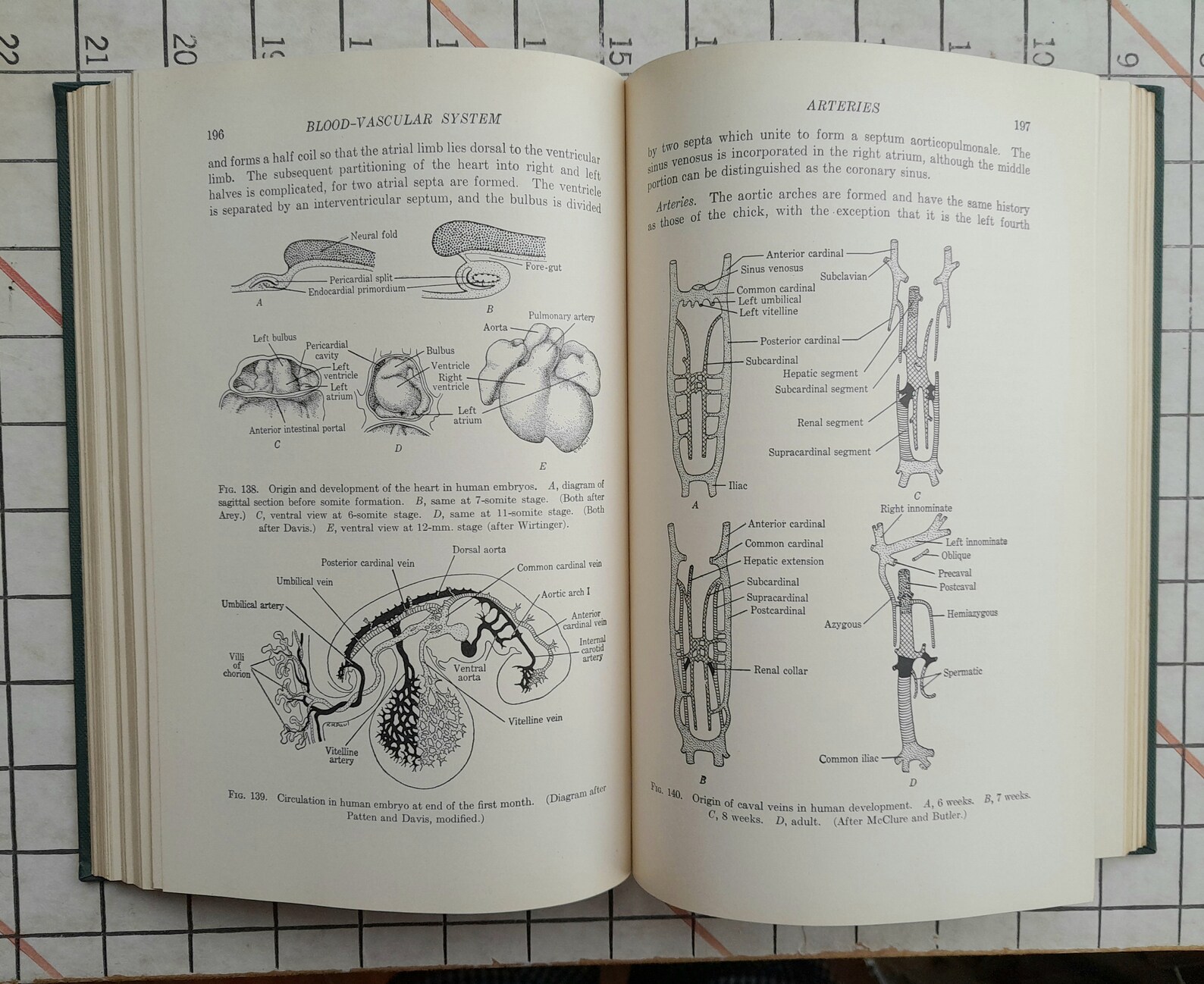 1940s Science Textbook Introduction to Vertebrate Embryology - Etsy