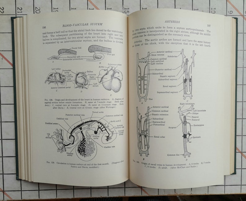 1940s Science Textbook Introduction to Vertebrate Embryology - Etsy