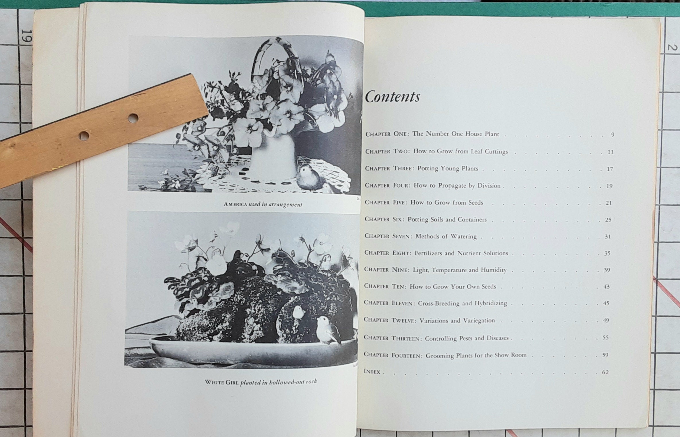 How to Grow African Violets 1950s Softcover Carolyn Rector Photographs Illustrated - Etsy