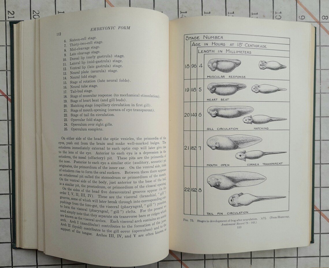 1940s Science Textbook Introduction to Vertebrate Embryology - Etsy